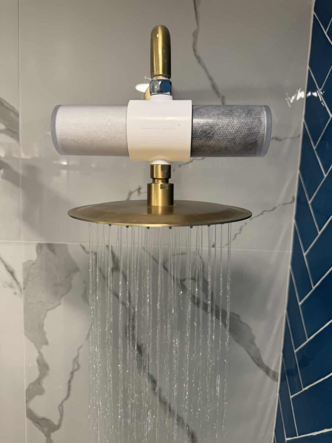 Do Shower Filters Actually Work? Do You Really Need One? - The Filtery