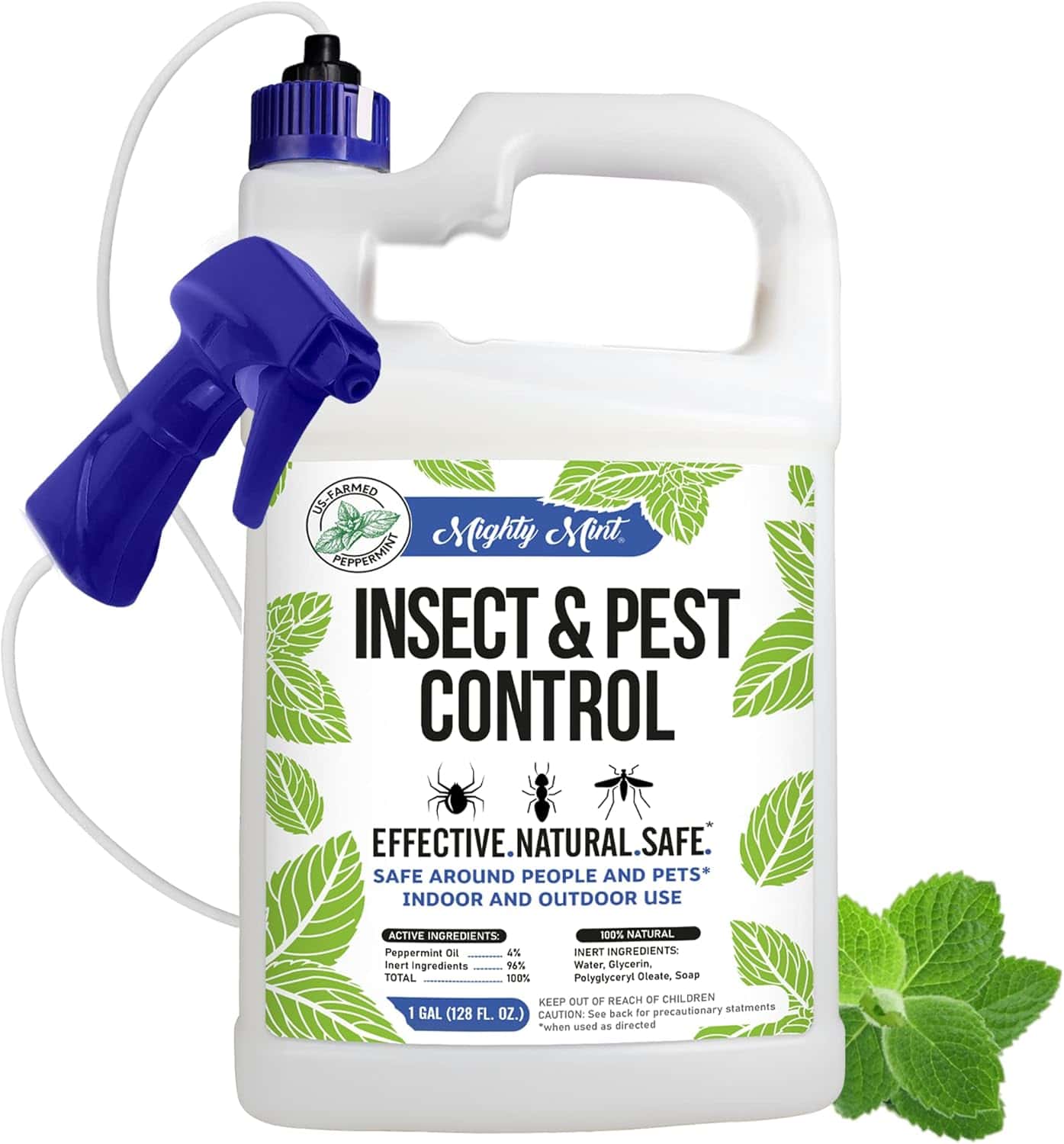 Natural Pest Control: Safe Solutions for Inside & Outside