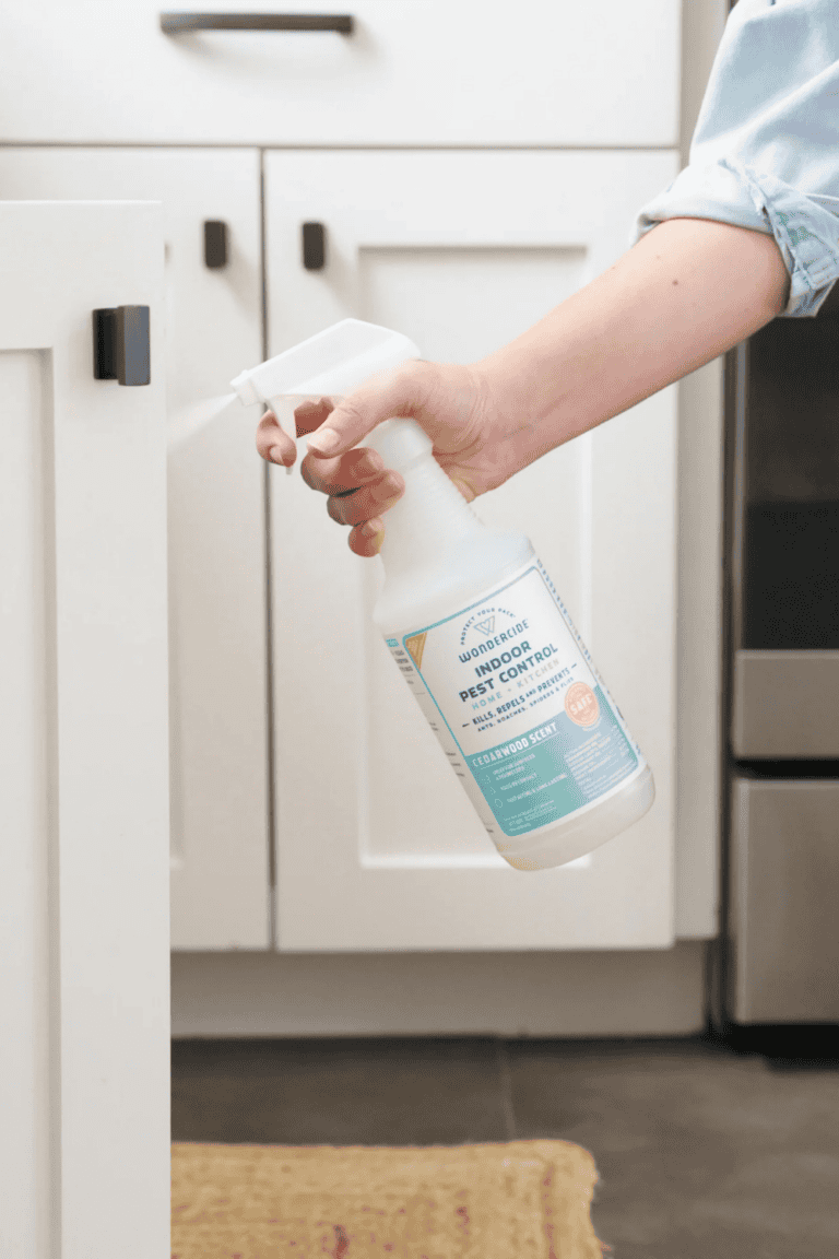 Is WD-40 Toxic? [& Natural Substitutes That Work] - The Filtery