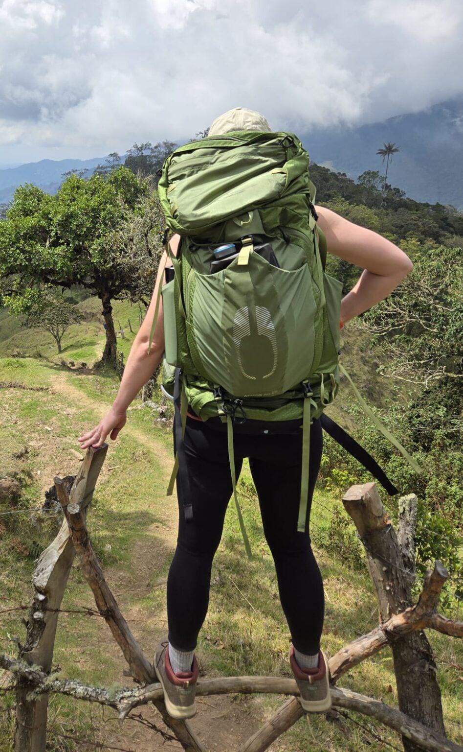 My List of Organic & Non-Toxic Backpacks (for Kids & Adults)