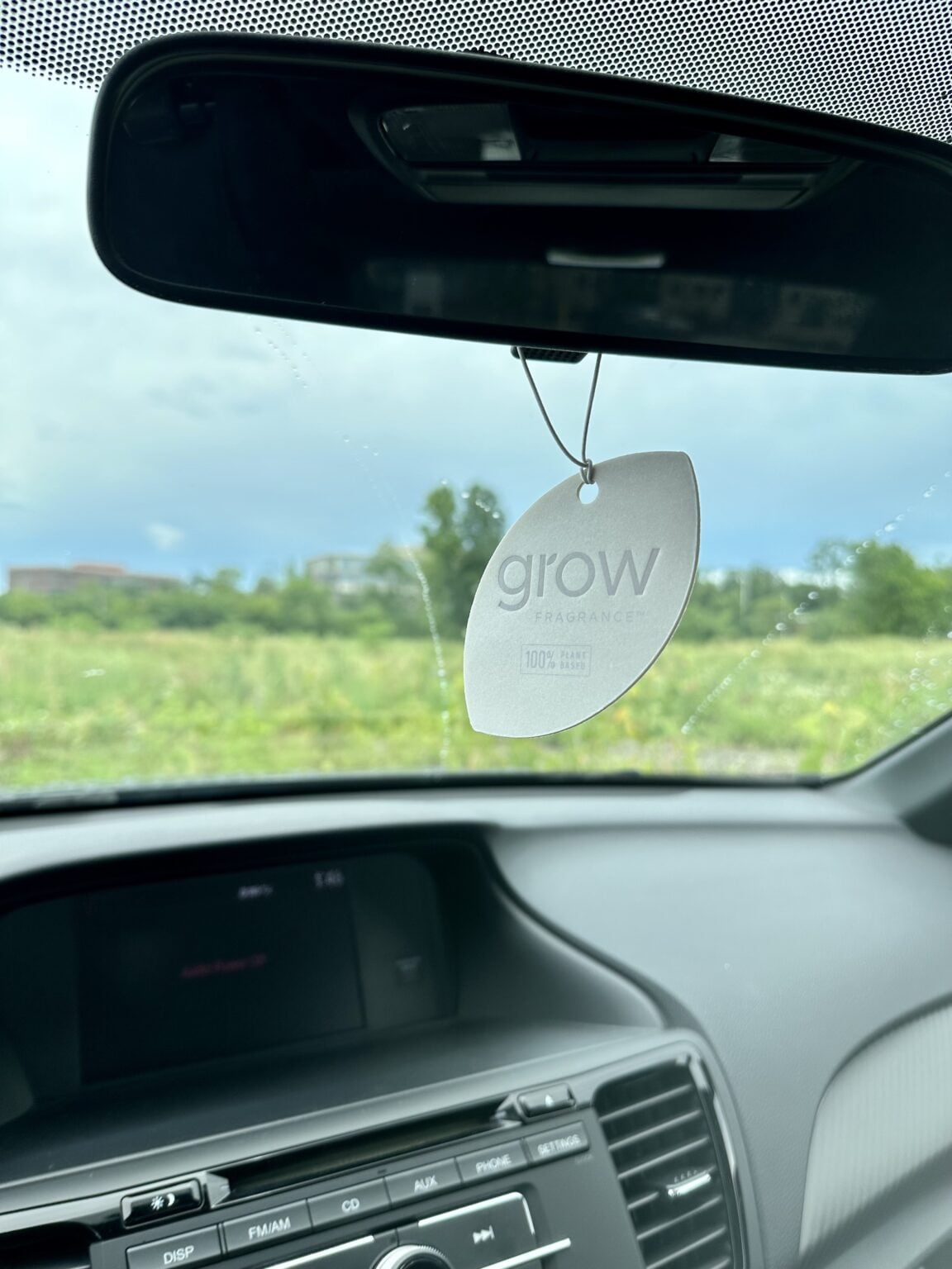 5 Natural & Non-Toxic Car Air Fresheners (+ 2 DIY Ideas!) - The Filtery