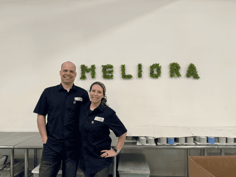 Honest Review on Meliora: It’s Non-Toxic & It Works! - The Filtery