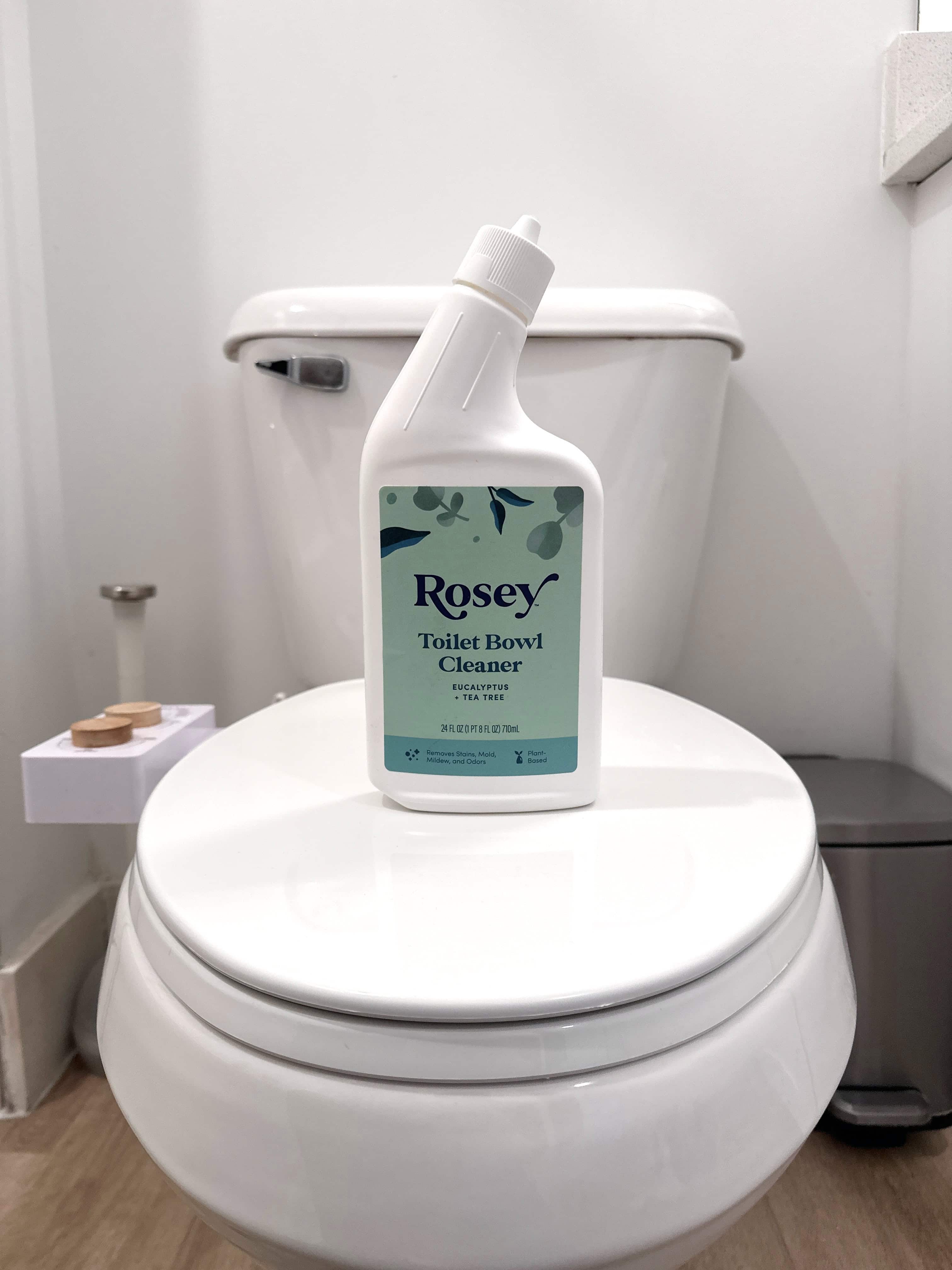 6 Non-Toxic & Eco-Friendly Toilet Bowl Cleaners to Try