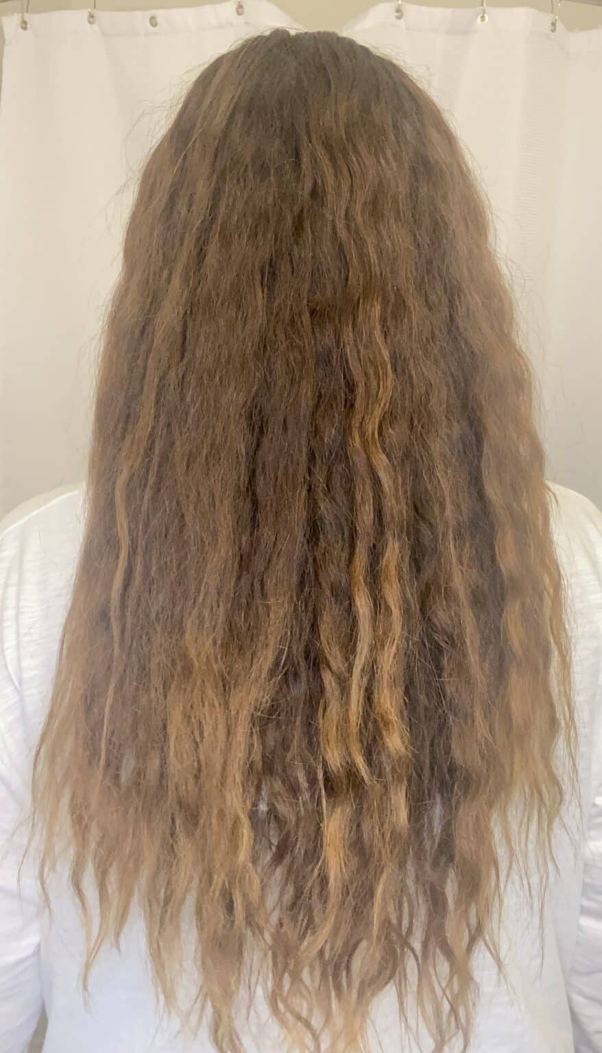 My Unsponsored Review of Prose Hair Care (+ If It's "Clean")