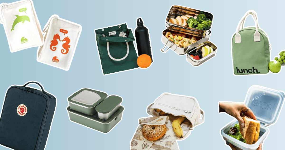 9 Non-Toxic, BPA-Free Lunch Boxes (for Kids & Adults!)