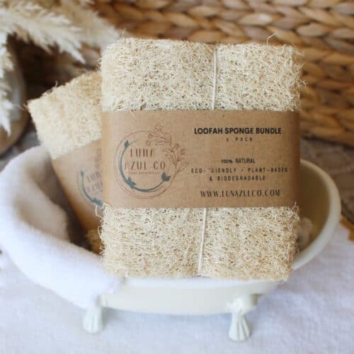 Plastic-Free Loofah Swaps for a More Natural Shower Routine