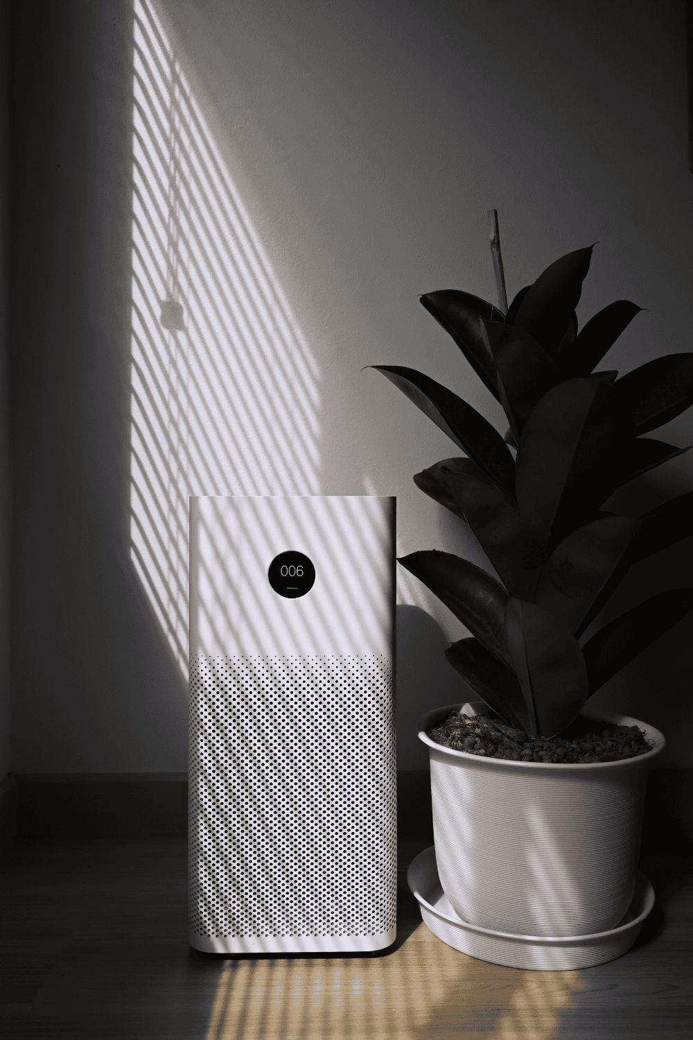 San Francisco Offers Free Air Filters to Low-Income Tenants