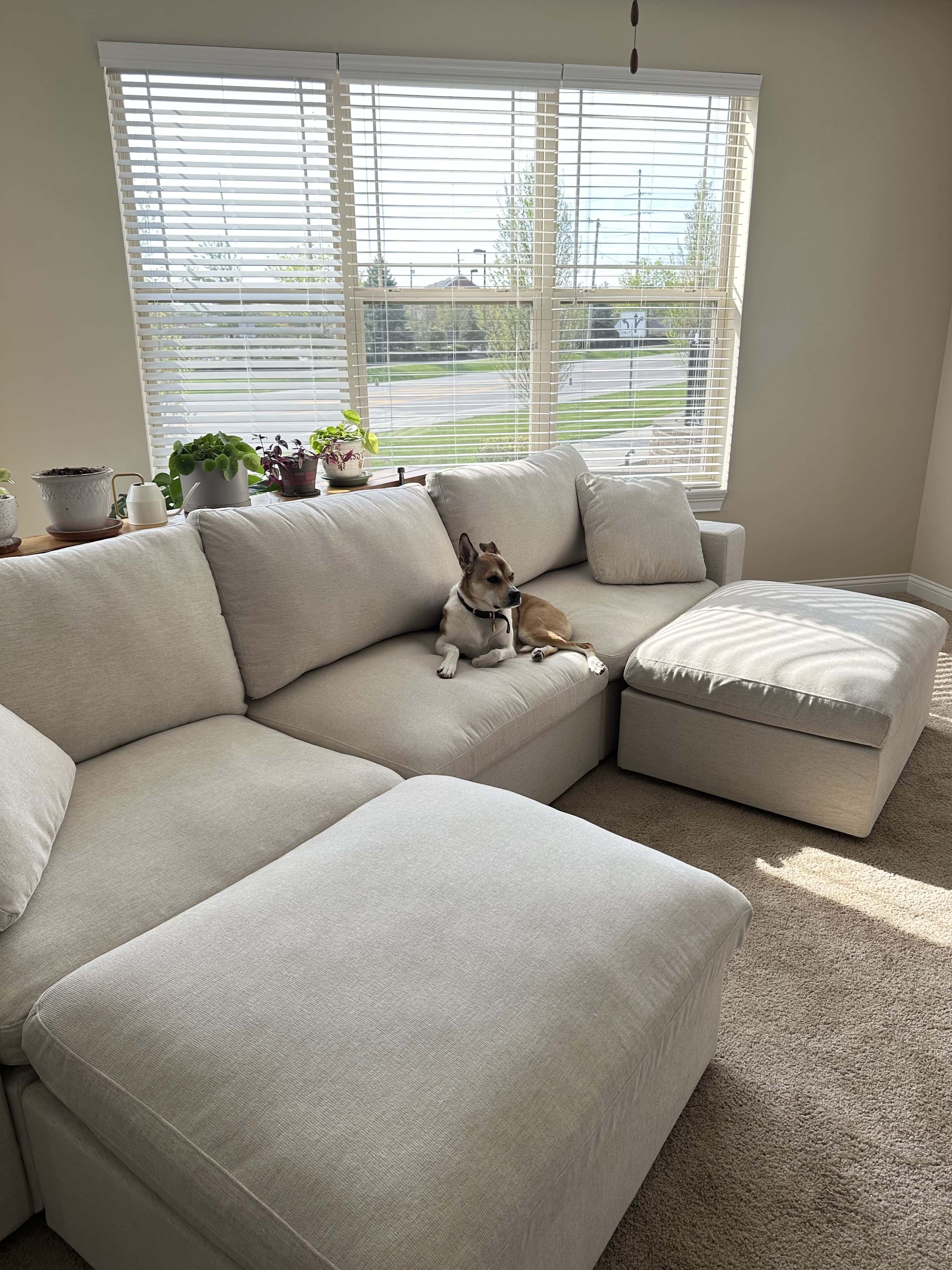 Non-Toxic, PFAS-Free Sofas & Couches: A 2024 Buying Guide