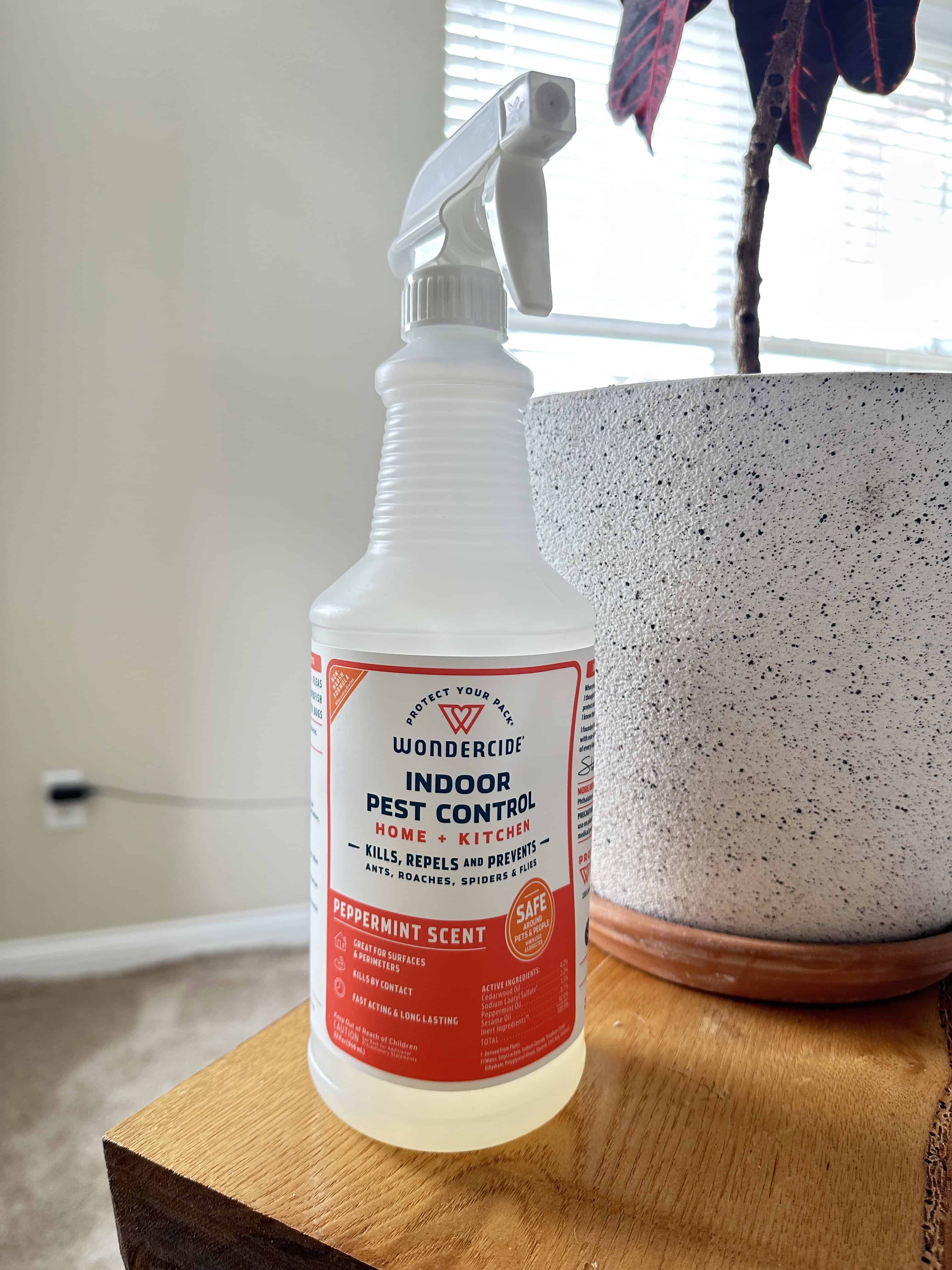 Natural Pest Control: Safe Solutions for Inside & Outside